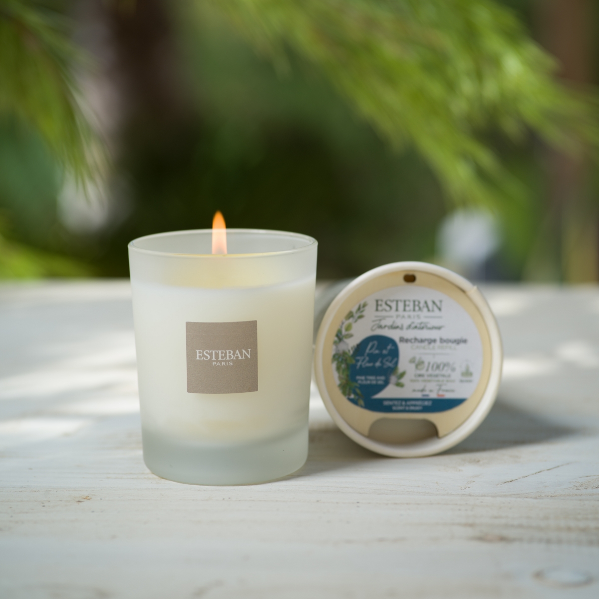 ESTEBAN - SVÍČKA 180 G - NATURE - PINE TREE AND FLEUR DE SEL - Bytové ...